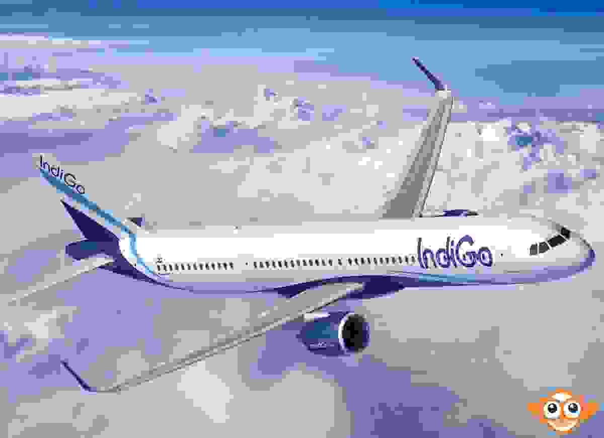 Indigo Airlines Dhaka Office | Phone, Address, Ticket Booking